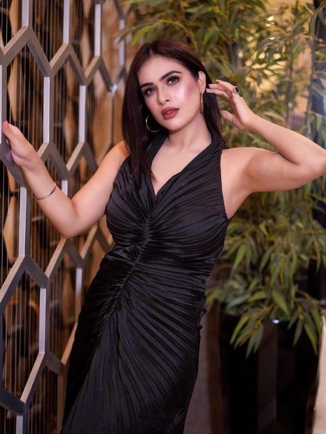 ਬਲੈੱਕ ਡਰੈੱਸ ‘ਚ ਨੇਹਾ ਮਲਿਕ ਦਾ ਗਲੈਮਰਸ ਲੁੱਕ, ਤੁਸੀਂ ਵੀ ਕਰ ਸਕਦੇ ਹੋ ਸਟਾਈਲ ਨੂੰ ...