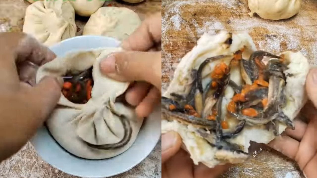 Shocking Video: ਸ਼ੱਪ ਤੇ ਕੀੜਿਆਂ ਨਾਲ ਬਣਾਏ ਮੋਮੋਜ਼, ਲੋਕ ਰੈਸਪੀ ਵੇਖ ਹੋਏ ਹੈਰਾਨ ...