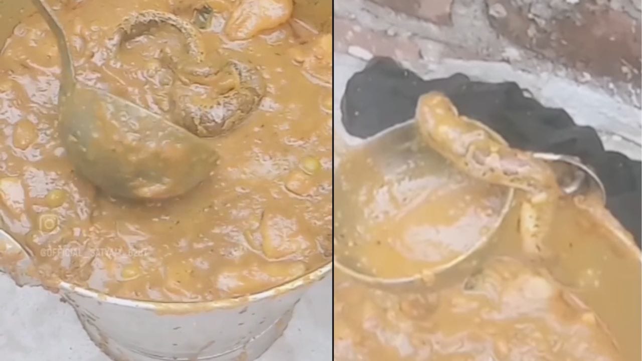 Viral Video: ਭੰਡਾਰੇ ਦੀ ਸਬਜ਼ੀ 'ਚ ਨਿਕਲਿਆ ਜ਼ਹਿਰੀਲਾ ਸੱਪ, ਦੇਖਣ ਵਾਲਿਆਂ ਦੀ ...