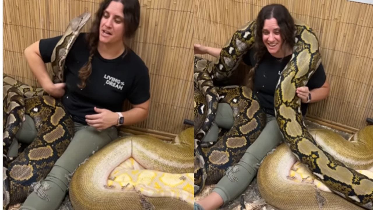 Viral Video: ਕੌਣ ਹੈ ਇਹ ਔਰਤ ਜਿਸ ਦੇ ਸਾਹਮਣੇ ਖੁੰਖਾਰ ਜਾਨਵਰ ਵੀ ਬਣ ਜਾਂਦੇ ਹਨ ਬੱਚੇ, ਜਾਣੋ ਇਸਦੇ ਬਾਰੇ ਸਭ ਕੁਝ ...