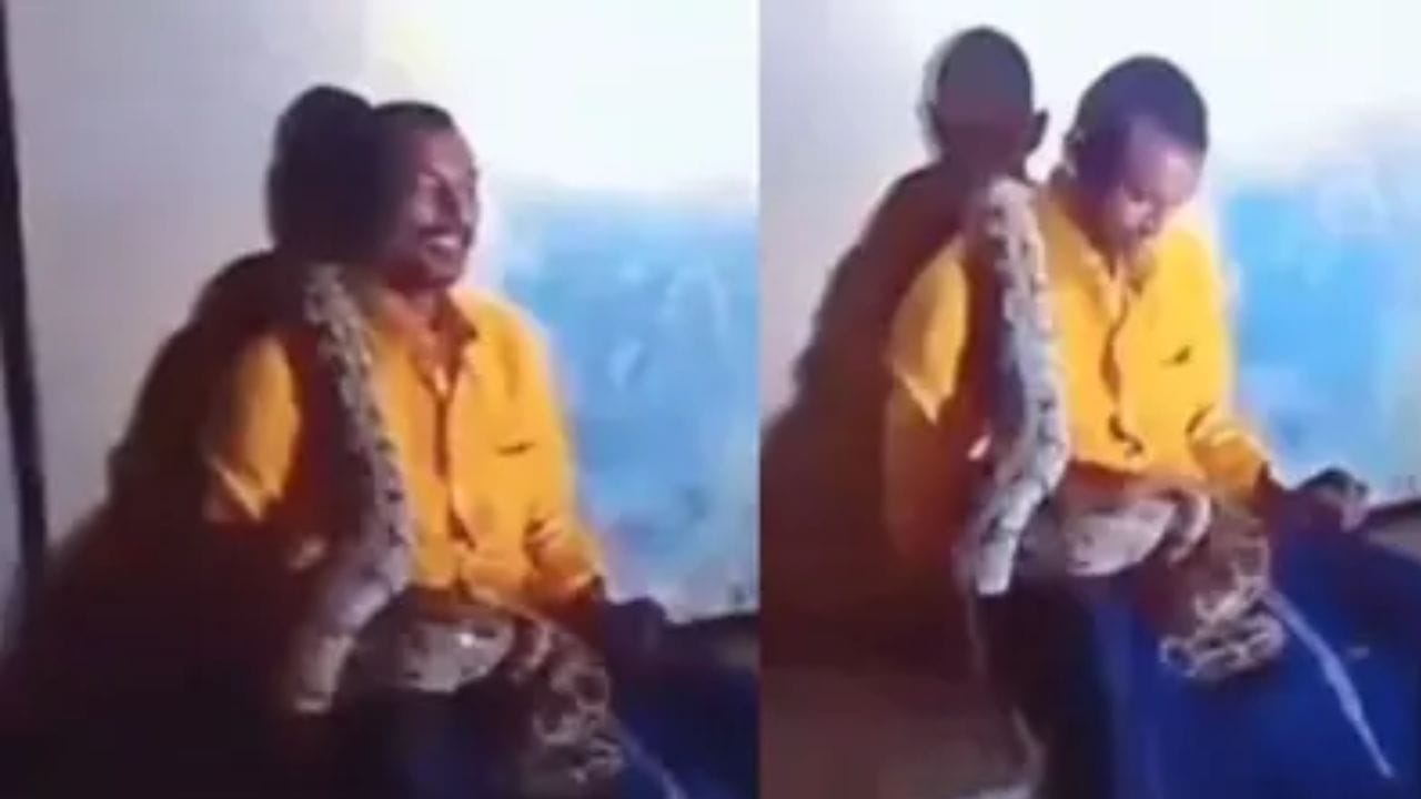 Viral Video: ਸ਼ਰਾਬੀ ਨੇ ਗਲੇ 'ਚ ਲਿਪਟ ਗਿਆ ਅਜਗਰ, ਅੱਗੇ ਜੋ ਹੋਇਆ, ਦੇਖ ਕੇ ਹੋ ...