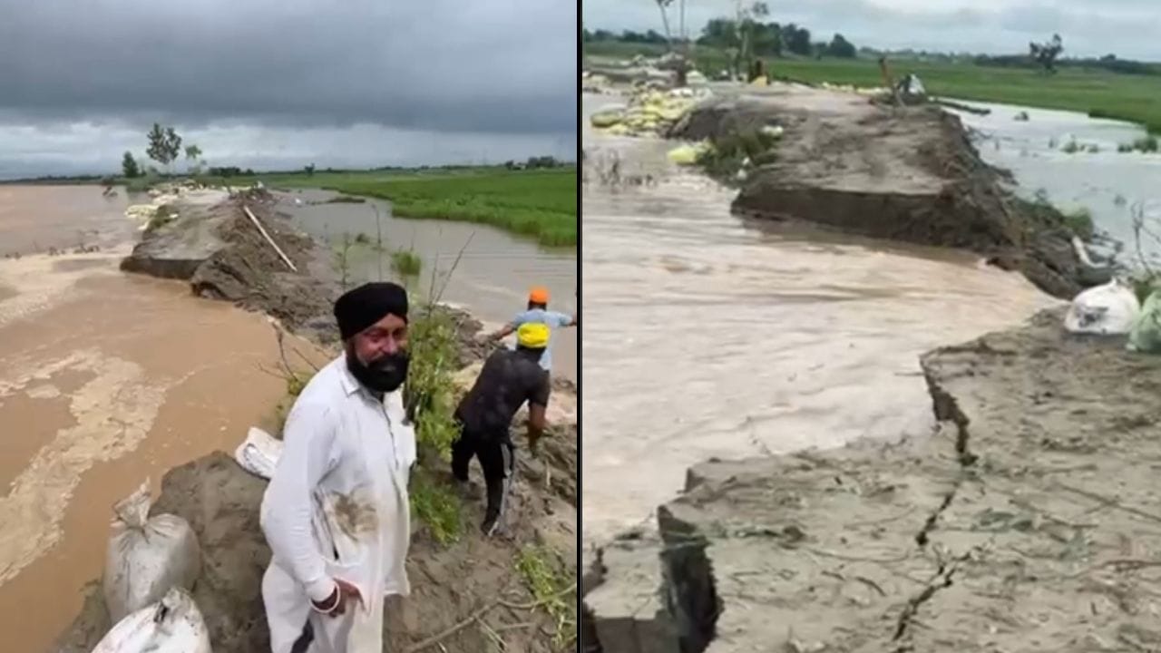 ਸੁਲਤਾਨਪੁਰ ਲੋਧੀ: ਆਹਲੀ ਕਲਾਂ ਐਡਵਾਂਸ ਬੰਨ੍ਹ ਟੁੱਟਿਆ, ਕਿਸਾਨਾਂ ਦੀਆਂ ਮੁਸ਼ਕਲਾਂ ...